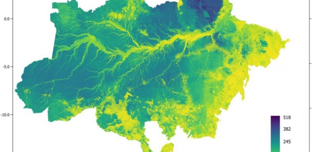 A new map showing all above-ground biomass in the Brazilian Amazon