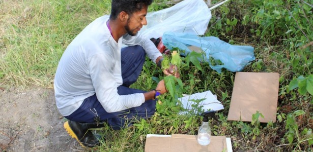 Indigenous researcher revives traditional medical practices of his people