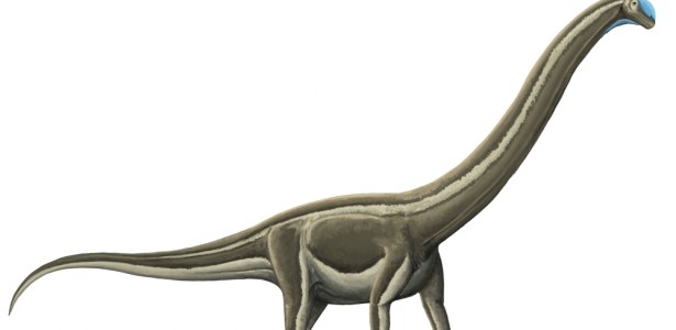 Deadly bone disease wiped out long-necked dinosaurs in what is now the ...