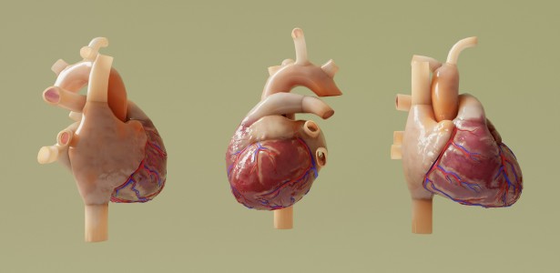 Accessible imaging technique can predict cardiac risks in patients with ...